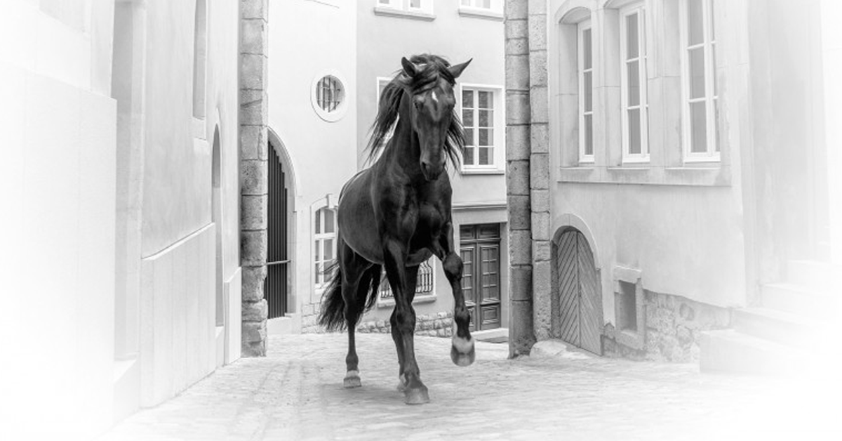 The River of Life, le nouveau film publicitaire Sources Rosport signé ...