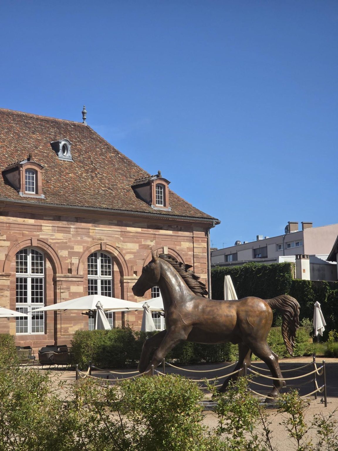 SMART ouvre un bureau à Strasbourg géré par Julie Scheid – adada